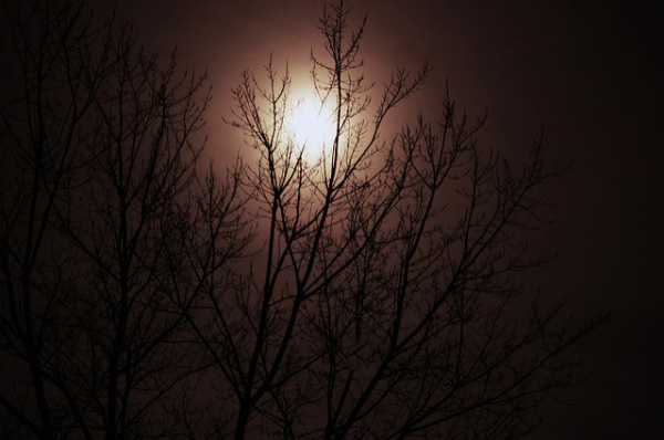 The Rise of the Internet Witch – Sacred Matters Magazine